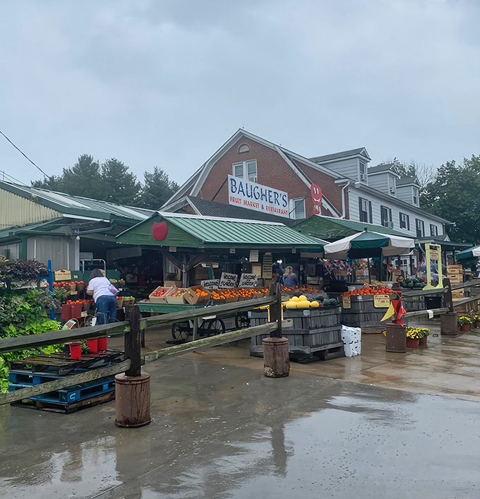 1. the best homemade pies in america come from this unassuming diner in maryland
