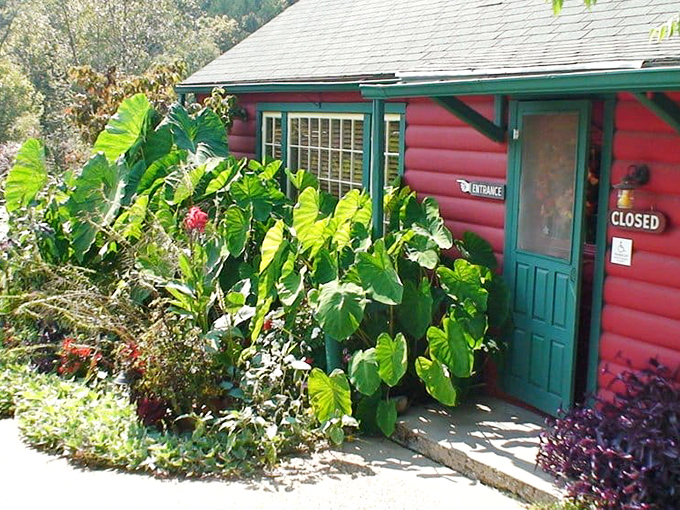 The rustic red exterior with green trim isn't just charming&mdash;it's nature's way of saying "delicious food happens here." A cabin that promises culinary adventures awaits.