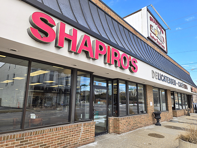 Shapiro's iconic cafeteria counter stands ready for action, where sandwich artisans transform simple ingredients into edible masterpieces that would make any New Yorker weep with joy.