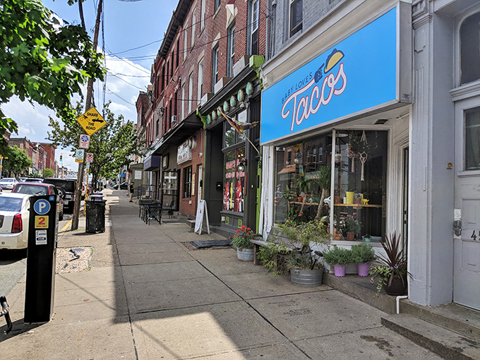 The bright blue sign promises taco salvation while the string lights invite you in like an old friend who happens to make incredible food.