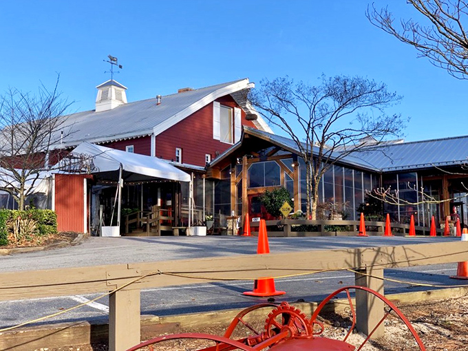 The grand entrance of Angus Barn stands like a rustic cathedral dedicated to the worship of perfectly cooked beef. Welcome to meat heaven.