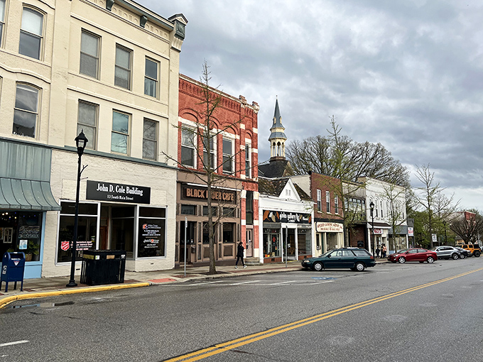 Autumn transforms Oberlin College's campus into a painter's palette of reds and golds. From above, you can see why this academic village captivates visitors in every season.