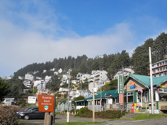 Three Arch Rocks standing like nature's monuments against the blue horizon. Mother Nature showing off her architectural portfolio with stunning results.