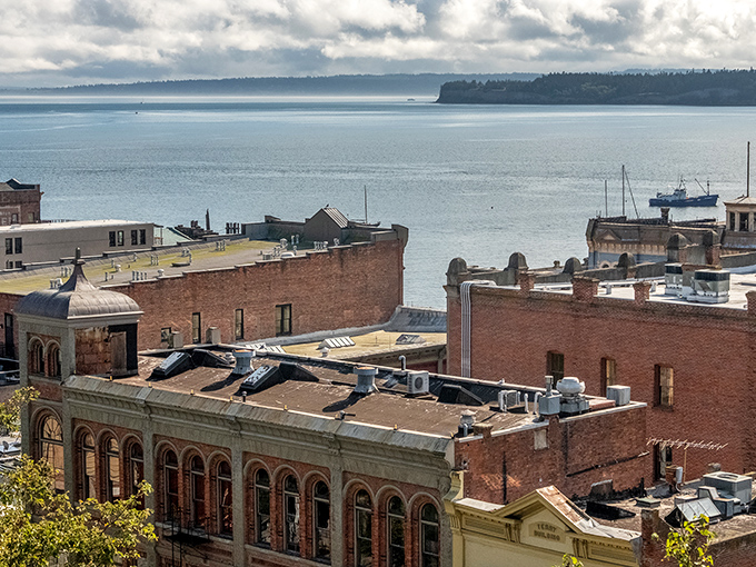 Port Townsend Vineyards offers rustic charm and outdoor seating where wine tastings come with a side of Pacific Northwest sunshine.