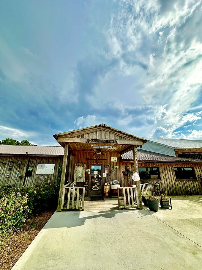 The unassuming exterior of Cedar Lane Supper Club beckons like a beacon for beef lovers. This wooden wonder proves Georgia's best flavors often hide in plain sight.
