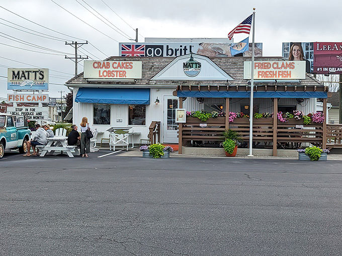 The coastal charm offensive begins! Matt's Fish Camp's white clapboard exterior with its "CRAB CAKES LOBSTER" sign is Delaware's seafood siren call to hungry travelers.