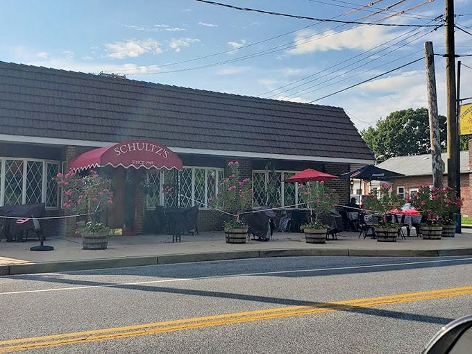 The welcoming entrance to Schultz's, with its cheerful red awning and flower barrels, feels like being invited to a crab feast at a friend's home.