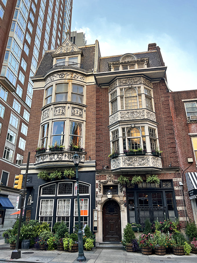 The Victorian charm of The Dandelion's exterior makes you feel like you've stumbled upon a secret portal to London, complete with window boxes that would make any English gardener proud.