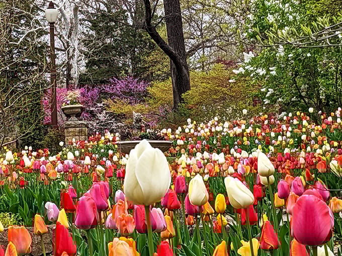 1. the dreamy arboretum in kansas you need to explore this spring