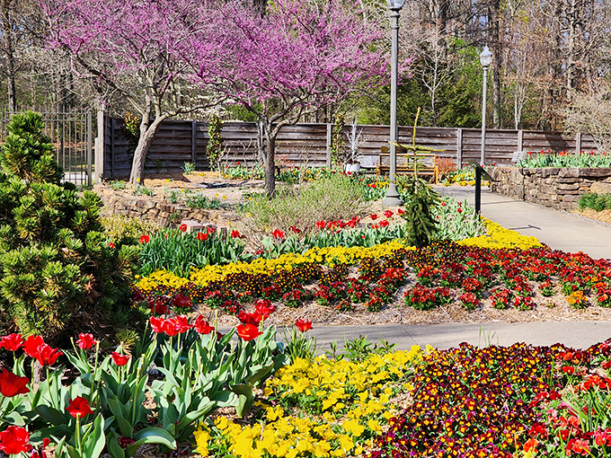 A sea of golden wildflowers stretches toward the horizon, nature's version of that moment when the orchestra hits the perfect note.