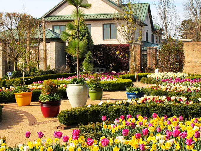 The elegant brick visitor center stands sentinel over a geometric paradise of boxwood hedges and golden daffodils&mdash;nature's version of architectural perfection.