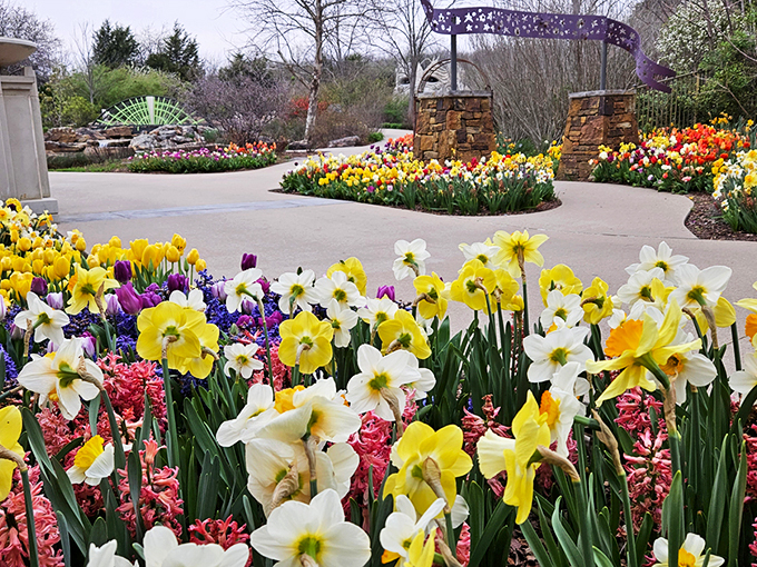 The cascading water feature at Tulsa Botanic Garden creates nature's perfect soundtrack while thousands of yellow and red tulips stand at attention like tiny botanical soldiers.