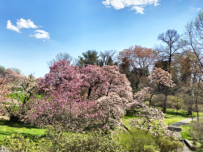 The perfect lawn doesn't exi&mdash; Oh wait, it does! Winterthur's meticulously manicured grounds invite you to kick off your shoes and feel nature's plushest carpet beneath your toes.
