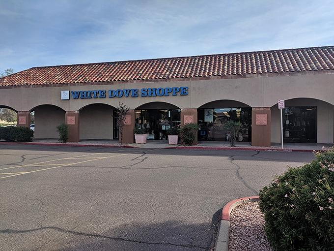 The unassuming exterior of White Dove Thrift Shoppe hides a treasure trove within, like finding a Michelin-starred restaurant in a strip mall.
