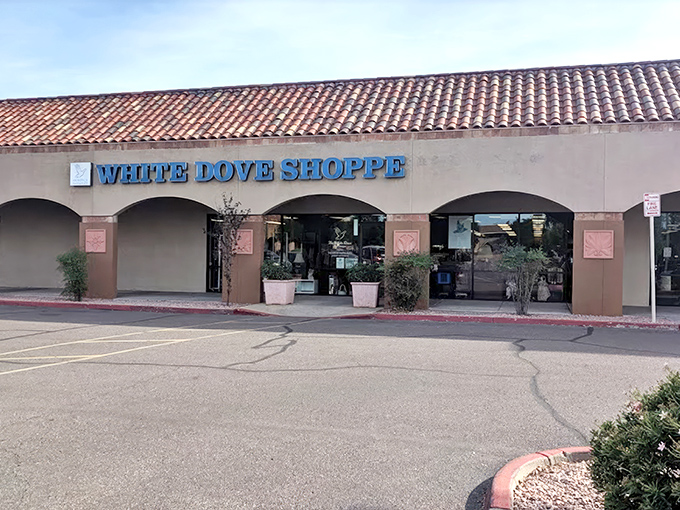 The unassuming exterior of White Dove Thrift Shoppe hides a treasure trove within, like finding a Michelin-starred restaurant in a strip mall.