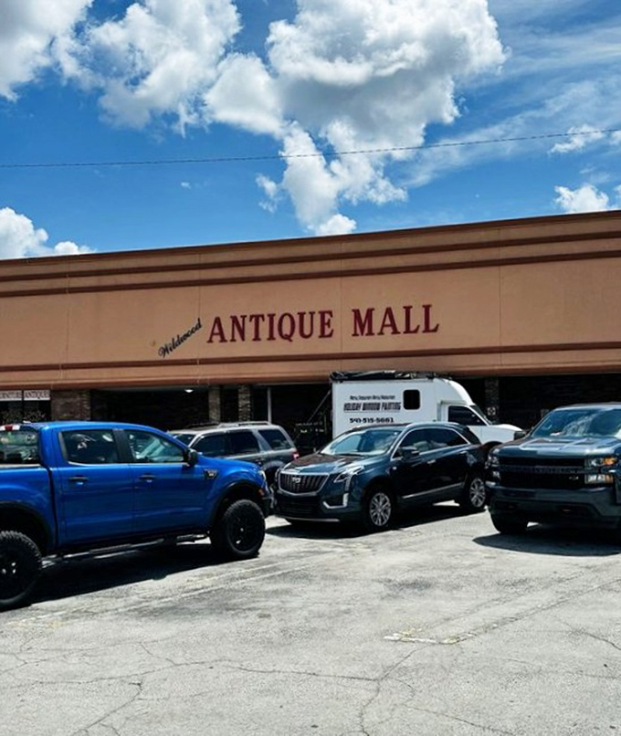 The unassuming exterior of Wildwood Antique Mall hides a universe of treasures within, like finding the Tardis of vintage shopping in Central Florida.