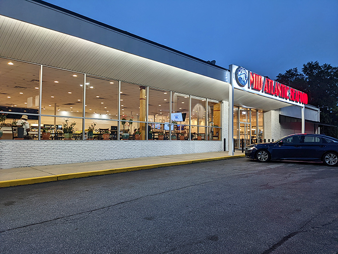 The white brick exterior with its bold red sign is like a lighthouse for hungry seafood lovers navigating Route 1's culinary waters.