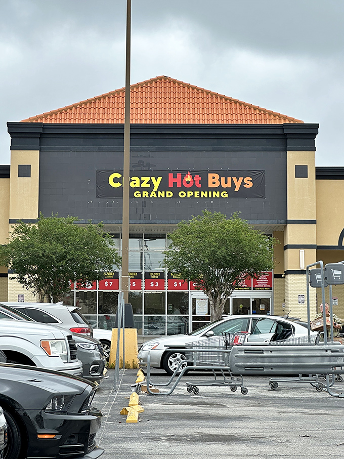 The storefront beckons like a retail siren song, with those magical daily price points displayed front and center. Bargain paradise awaits!