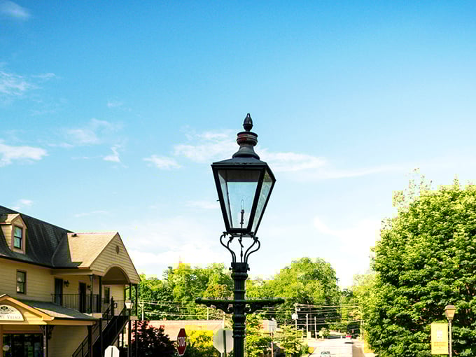 Tree-lined streets welcome you to Dahlonega's charming downtown, where time slows down and Southern hospitality flows as freely as sweet tea.