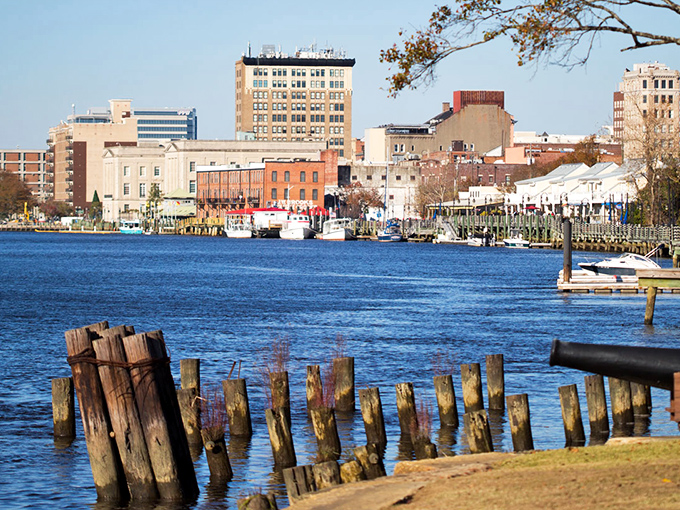 Wilmington's historic downtown showcases its architectural splendor, where stately columns and brick facades tell stories of a bygone era.