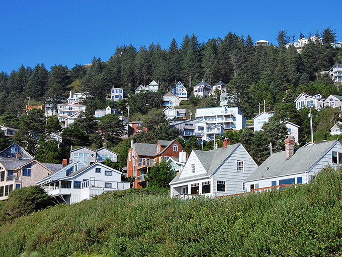 Three Arch Rocks standing like nature's monuments against the blue horizon. Mother Nature showing off her architectural portfolio with stunning results.