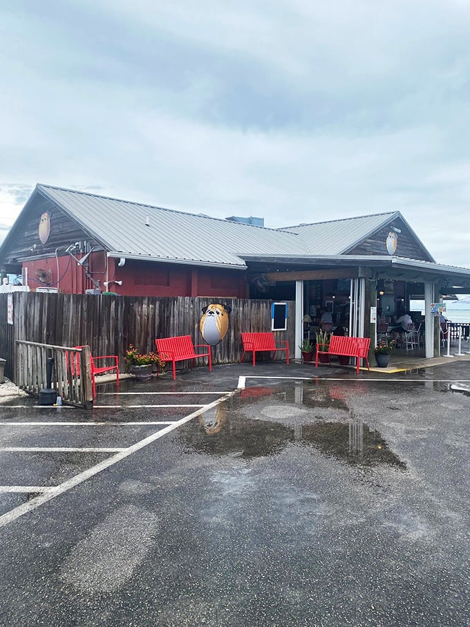 The Old Salty Dog's exterior welcomes you like an old friend, complete with bright red benches where you can plot your seafood strategy before diving in.