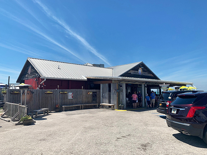The Old Salty Dog's exterior welcomes you like an old friend, complete with bright red benches where you can plot your seafood strategy before diving in.