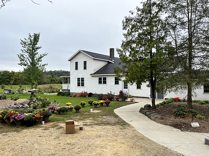 The unassuming white farmhouse that houses Pleasant View Bakery stands like a beacon of hope for carb enthusiasts. No fancy signage needed when your donuts speak for themselves.