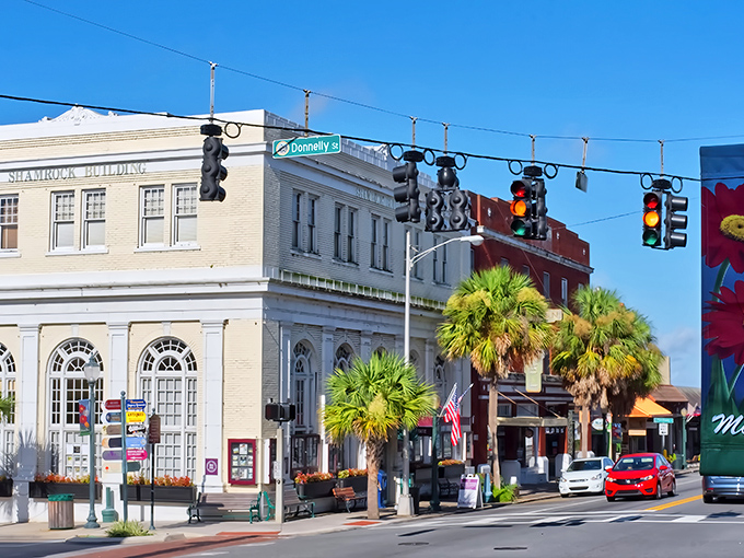 Downtown Mount Dora's palm-lined streets and historic buildings create that rare Florida experience&mdash;charm without a single cartoon mouse in sight.