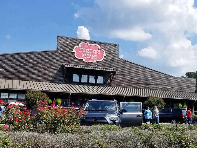 The rustic charm of Priester's Pecans welcomes travelers like a Southern hug, its iconic red sign promising sweet salvation just off I-65.