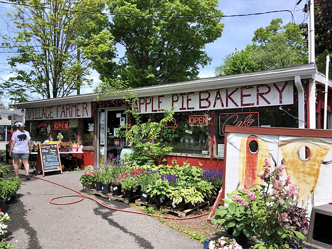 Welcome to pie paradise! The Village Farmer and Bakery's charming exterior is like a siren call to dessert lovers everywhere.