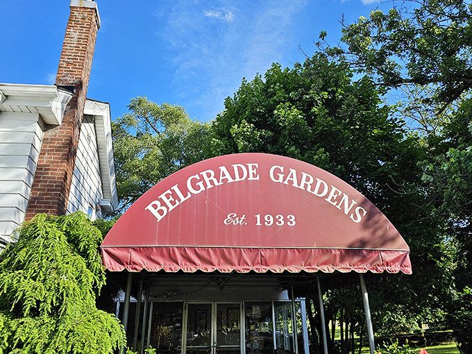 The approach to Belgrade Gardens feels like discovering a secret garden of fried chicken delights, complete with manicured hedges and that iconic burgundy awning.