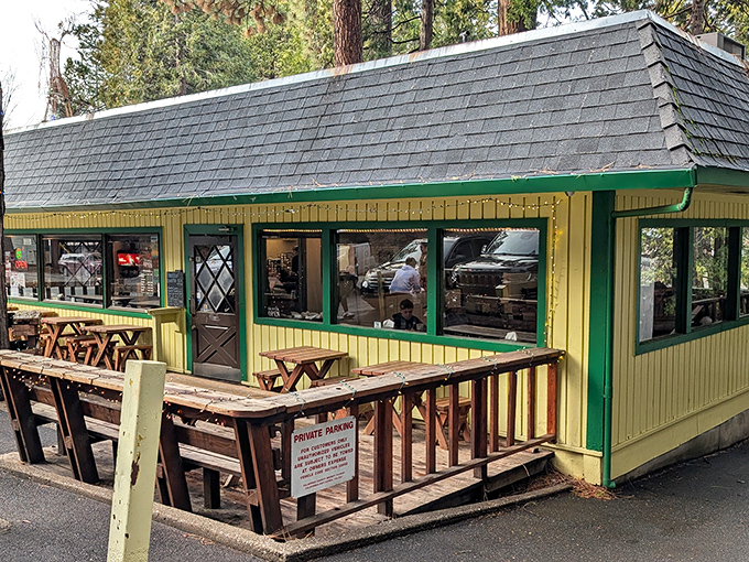 Nestled among towering pines, Giant Burger's charming A-frame structure stands as a beacon of hope for the hungry traveler. That wooden bear knows what's up.