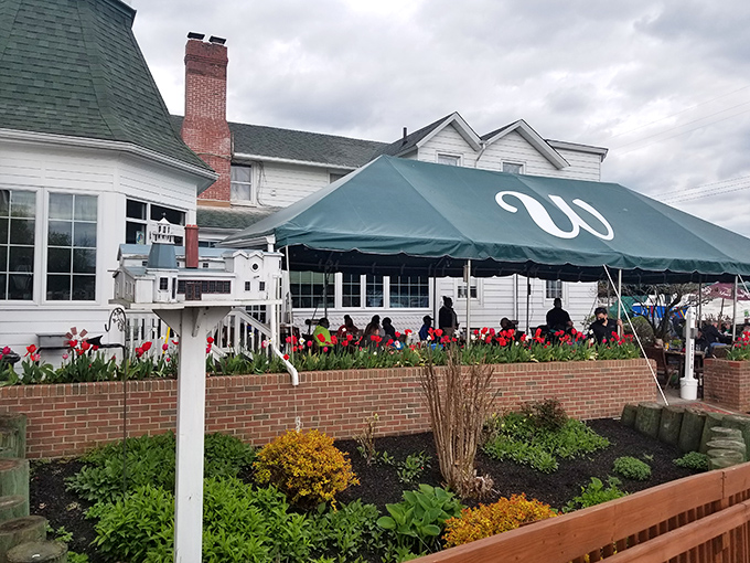 The Wellwood's charming exterior is beckoning hungry travelers to a seafood sanctuary where history meets hospitality.