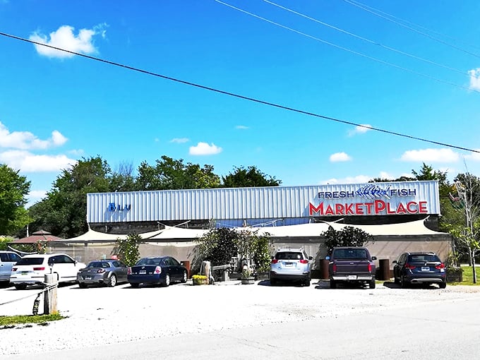 The unassuming exterior of Blu Fish House belies the coastal treasures within. Like finding Atlantis in a strip mall, this seafood haven proves appearances can be deliciously deceiving.