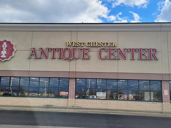 The unassuming storefront belies the wonderland within—like finding Narnia behind an ordinary wardrobe door, but with more vintage lamps.