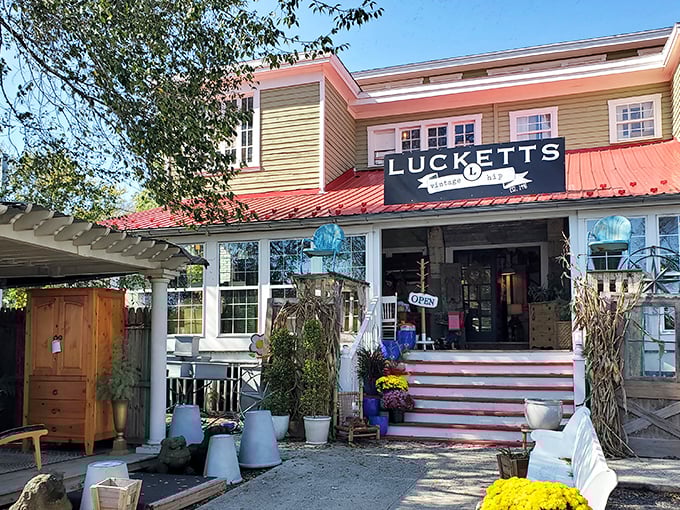 The unassuming facade of Old Lucketts Store beckons like a vintage postcard come to life, complete with that signature red roof and welcoming porch steps.