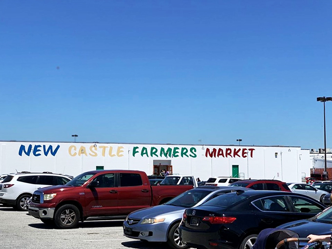 The unassuming exterior of New Castle Farmers Market belies the treasure trove within. Like finding a secret portal to bargain heaven in a suburban parking lot.