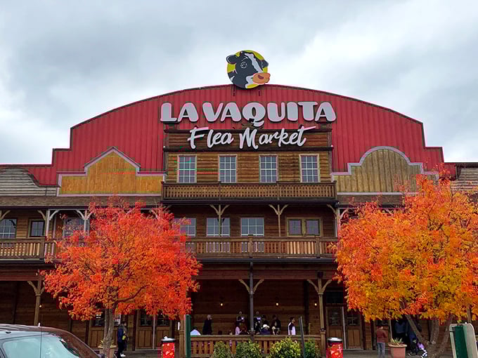 The unmistakable red barn facade of La Vaquita welcomes treasure hunters with autumn's fiery maples standing guard like colorful sentinels of bargain paradise.