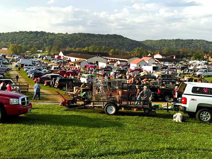 The treasure hunt begins! White's Farm's charming exterior promises a day of discoveries that'll make your inner collector do a happy dance.