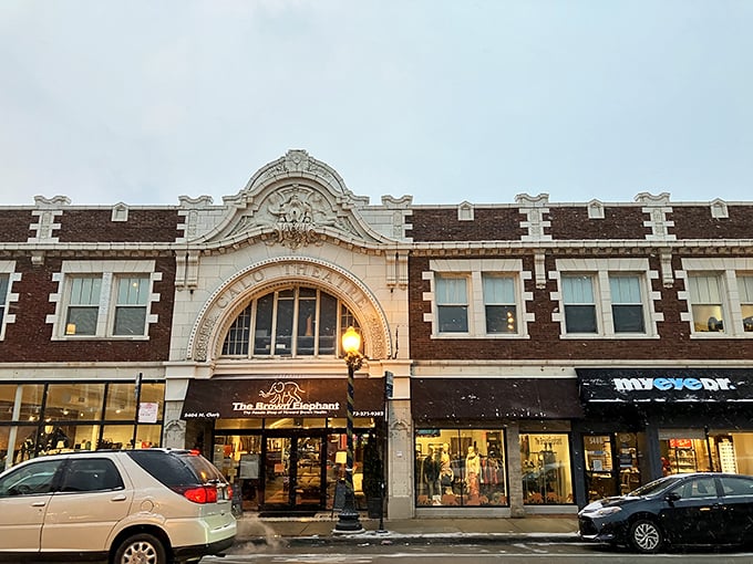 The grand fa&ccedil;ade of The Brown Elephant commands attention on Clark Street, like a temple dedicated to the gods of secondhand treasures.