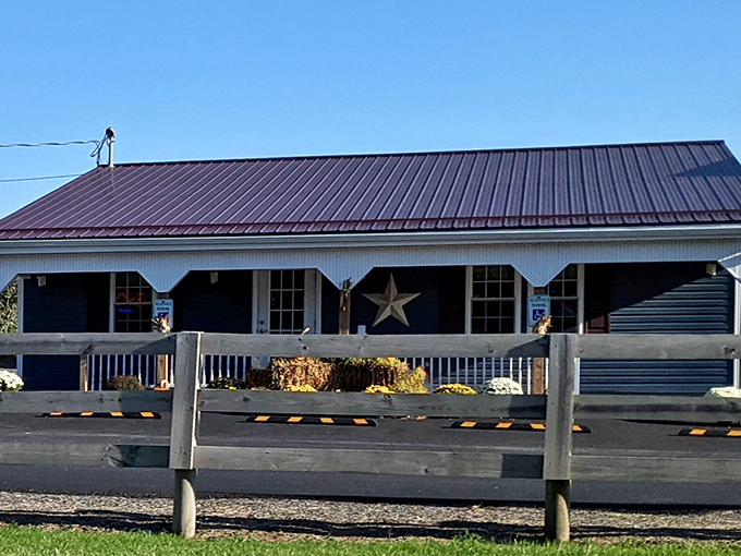 The unassuming exterior of Earlystown Diner belies the culinary treasures within. Those hanging purple petunias aren't just for show&mdash;they're your first clue that someone here cares about details.