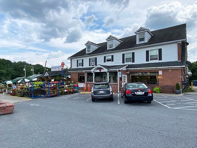 Baugher's white colonial-style building stands like a beacon of comfort food, with its charming farm market display promising fresh delights before you even step inside.