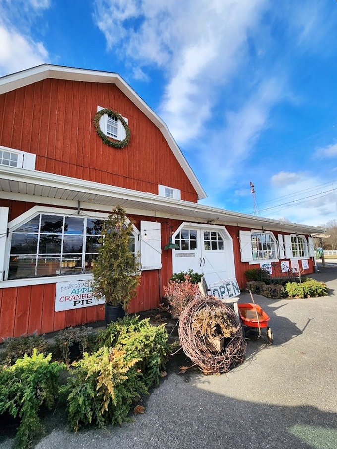 The iconic red barn exterior stands proudly against the blue Jersey sky, surrounded by colorful flowers that practically scream "Come eat something delicious inside!"
