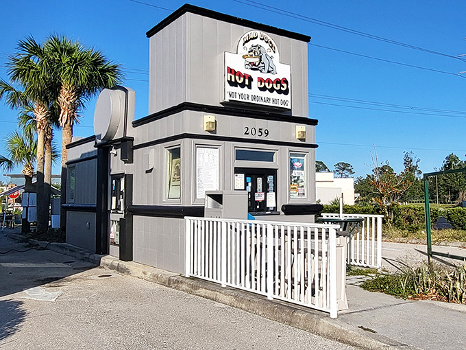 The unassuming gray building with its cartoon bulldog mascot proudly announces: "NOT YOUR ORDINARY HOT DOG." Architectural modesty, culinary boldness.