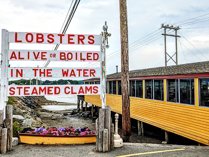 That iconic yellow building with its no-nonsense sign says everything you need to know: seafood doesn't need fancy packaging when it's this fresh.
