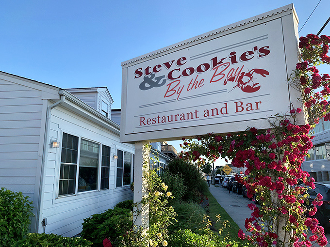 The unassuming exterior of Steve & Cookie's belies the culinary magic within. Like finding a treasure map disguised as a grocery list.