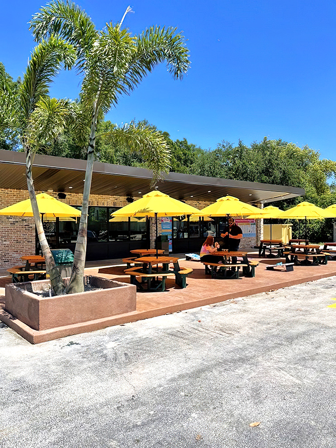 The sunshine-yellow umbrellas of DG Doughnuts beckon like beacons of hope in a world that desperately needs more frosting and joy.