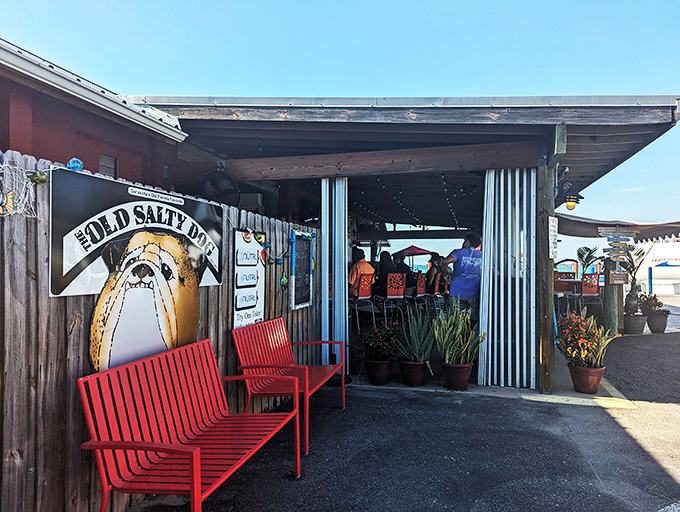 The Old Salty Dog's exterior welcomes you like an old friend, complete with bright red benches where you can plot your seafood strategy before diving in.
