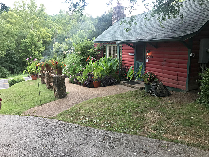 The rustic red exterior with green trim isn't just charming&mdash;it's nature's way of saying "delicious food happens here." A cabin that promises culinary adventures awaits.